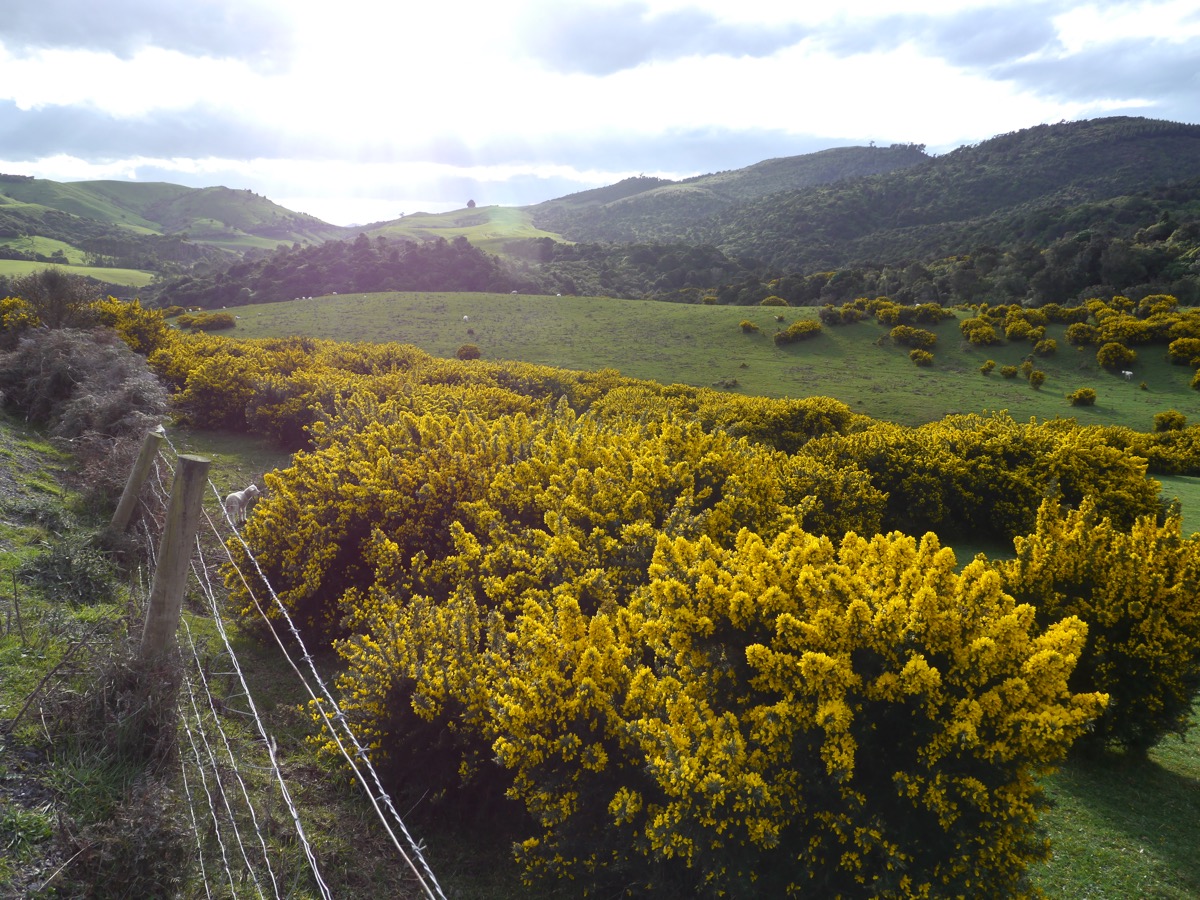 Süden und Osten - To the moon